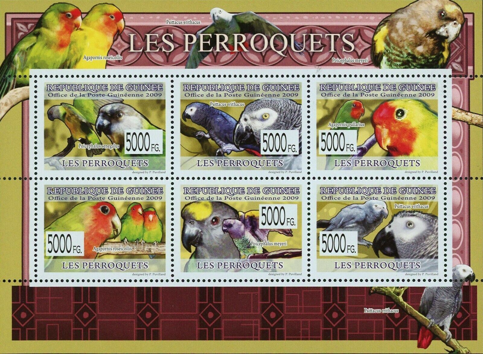 Parrots Stamp Bird Poicephalus Senegalus Psittacus Erithacus Agapornis ...