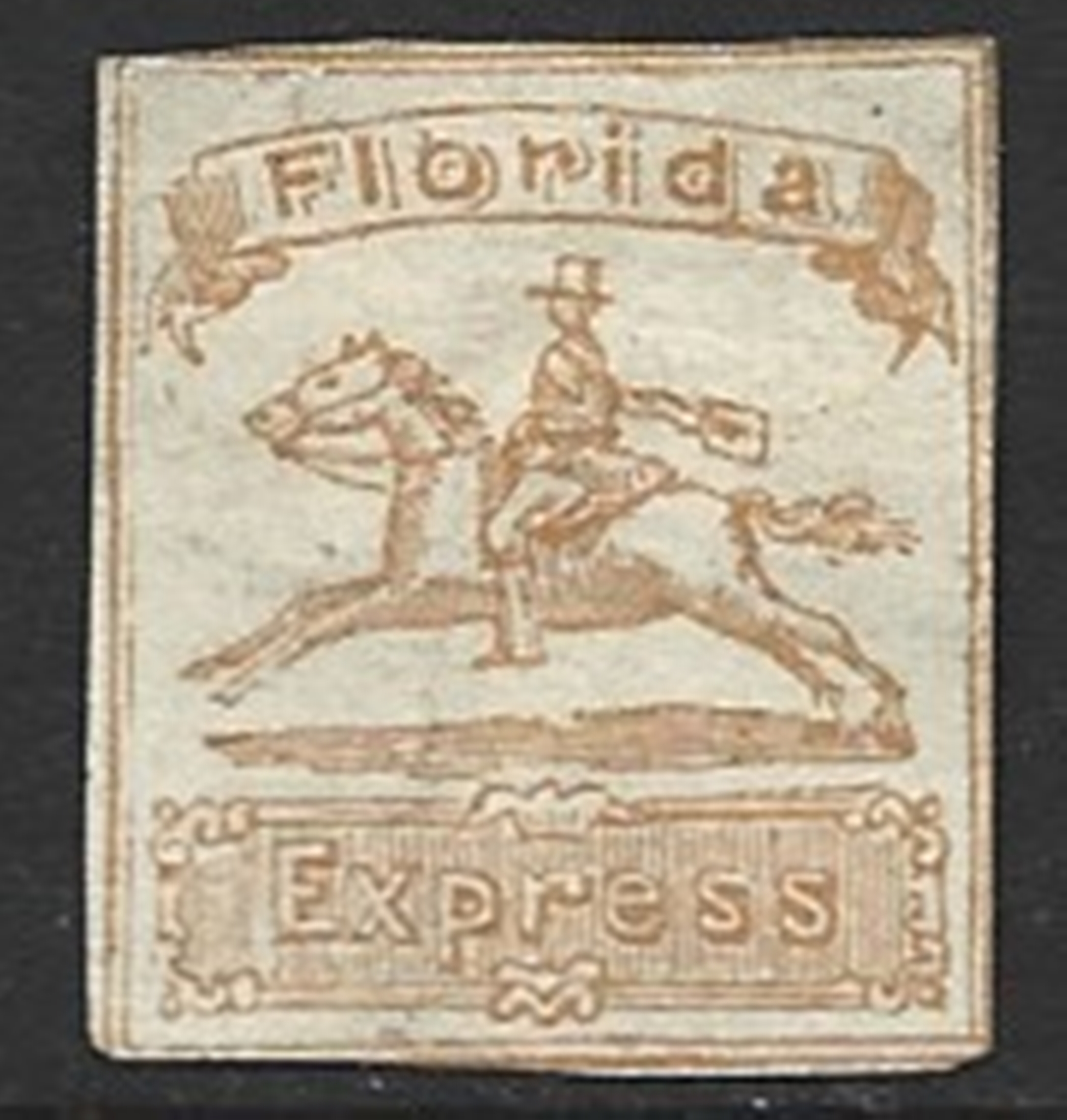 Collection LOT 12685 Confederate States Florida Private UNG Maybe ...