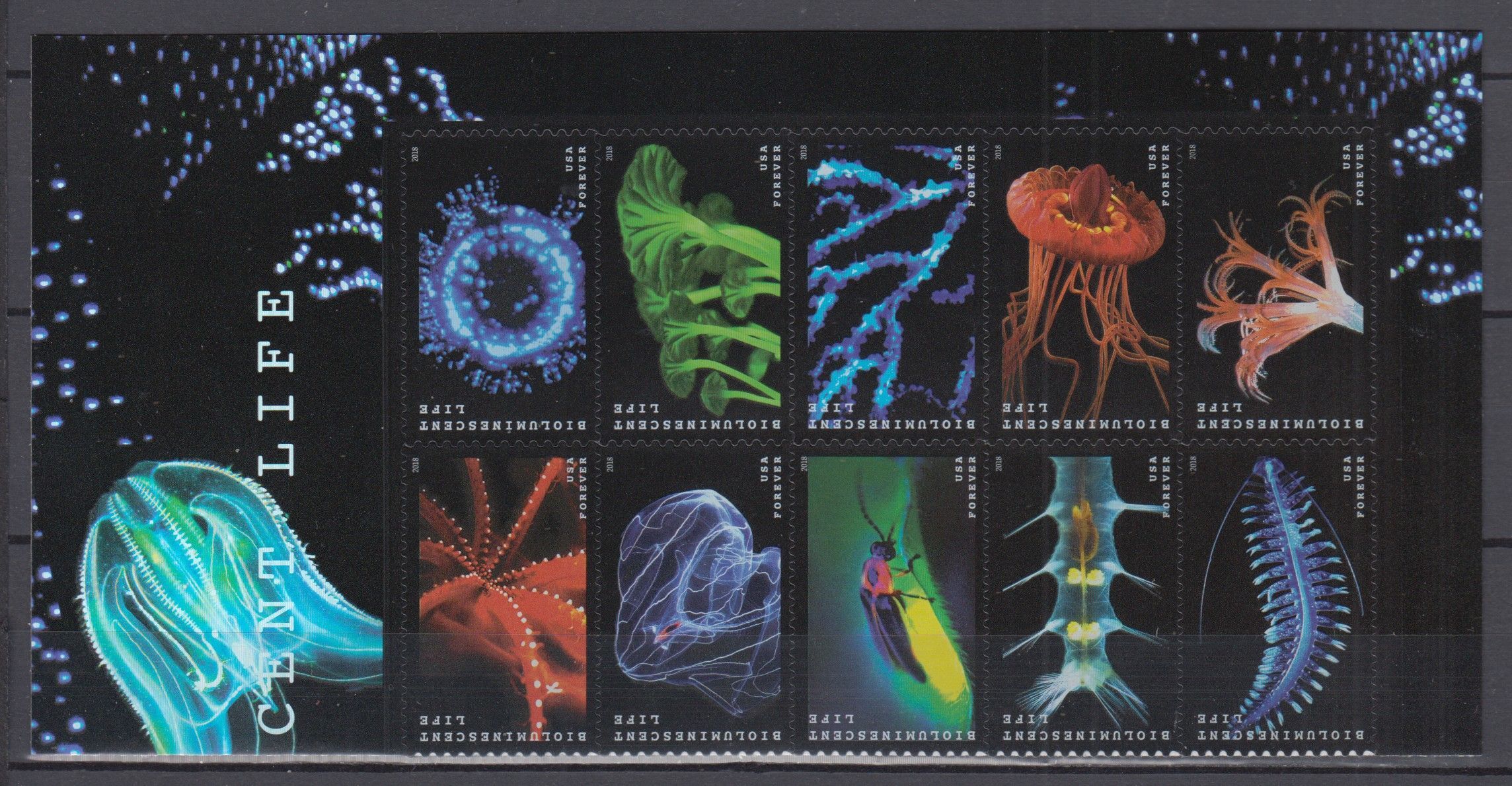 (G) USA #5264-73 Bioluminescent Life Complete Set in Block of 10 stamps ...