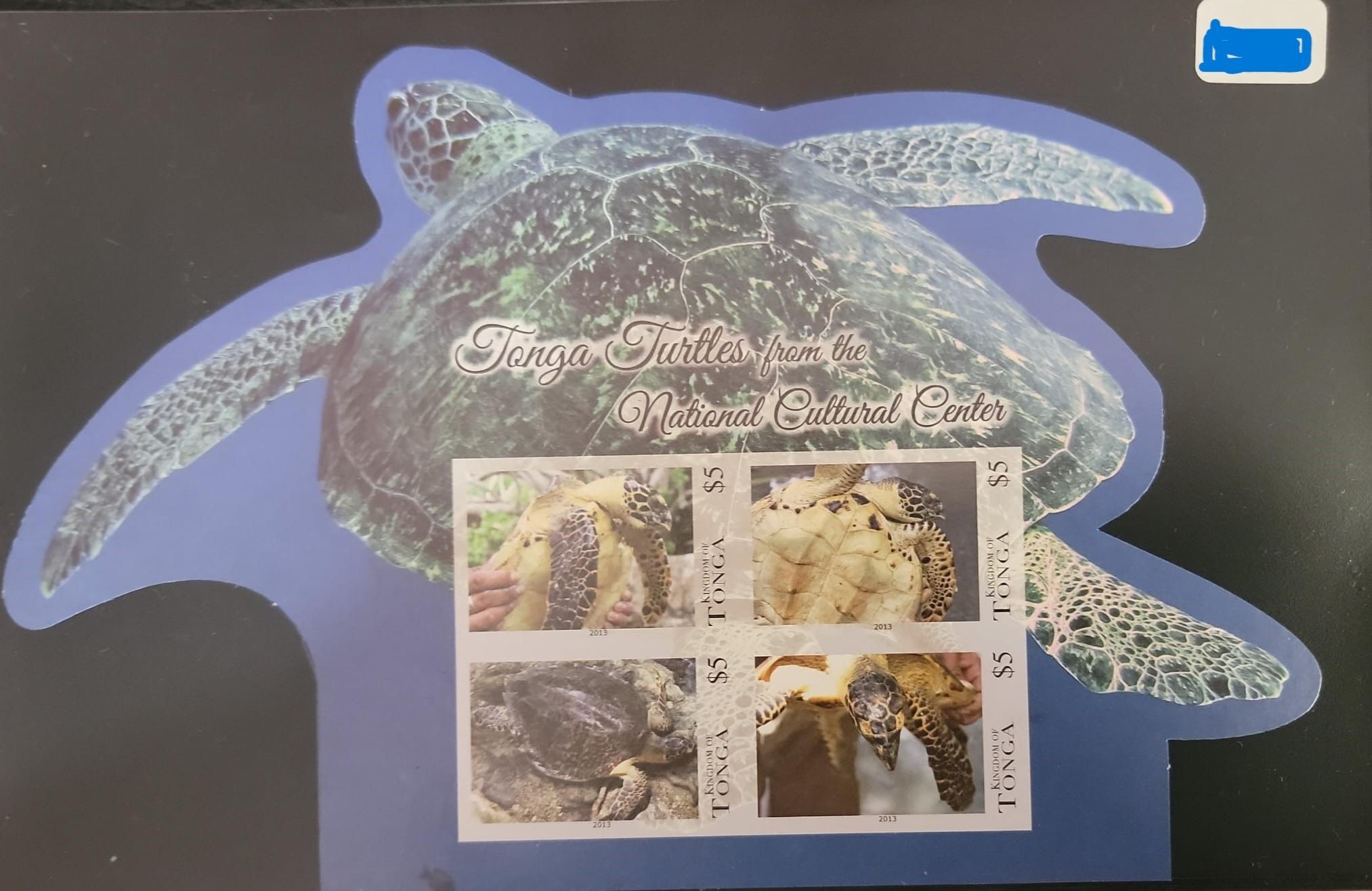 O) 2013 Tonga, Proof,Odd Shape, White Background, SEA Turtles, National ...