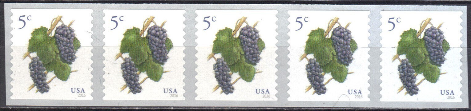 #5038 Strip-5 W/Bk#6740 " Grapes " MNH (5 cent) | United States ...