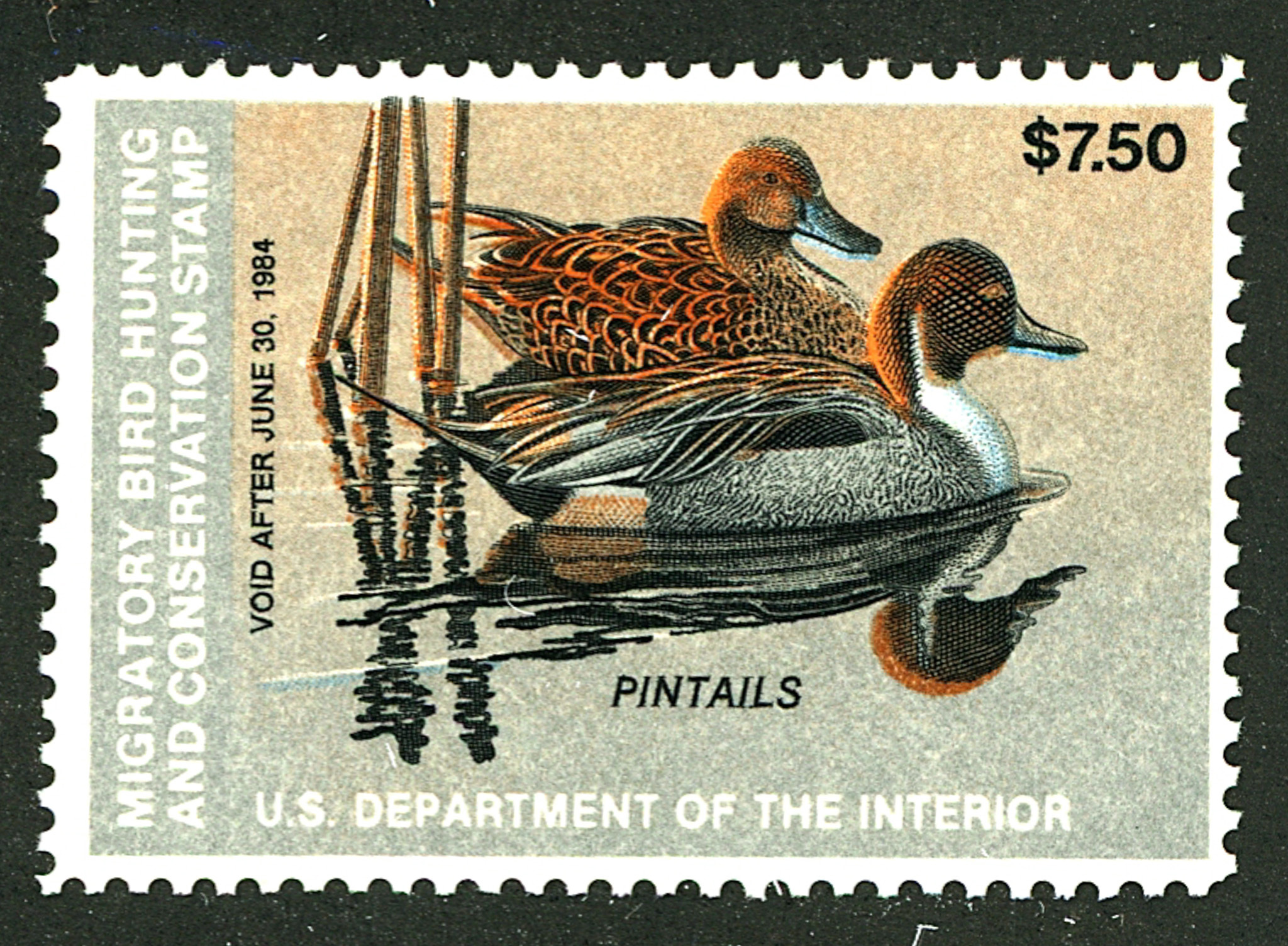 U.S. #Rw50 Mint OG NH | United States, Duck Stamps - Federal Stamp ...