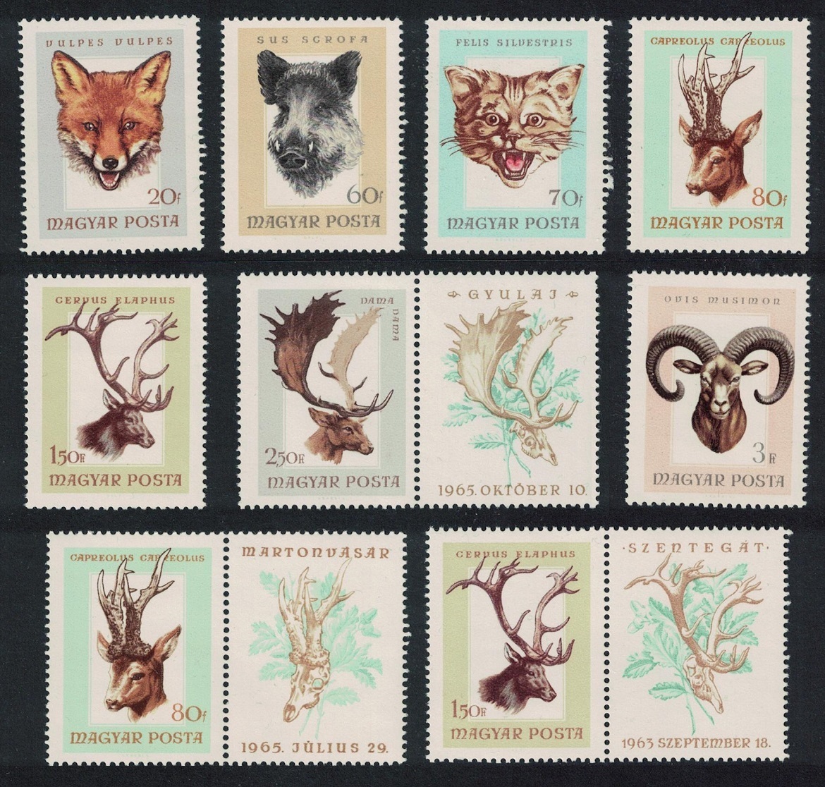 Hungary Fox Boar Deer Hunting Trophies 6v+3 Labels 1966 MNH SC#1446 ...