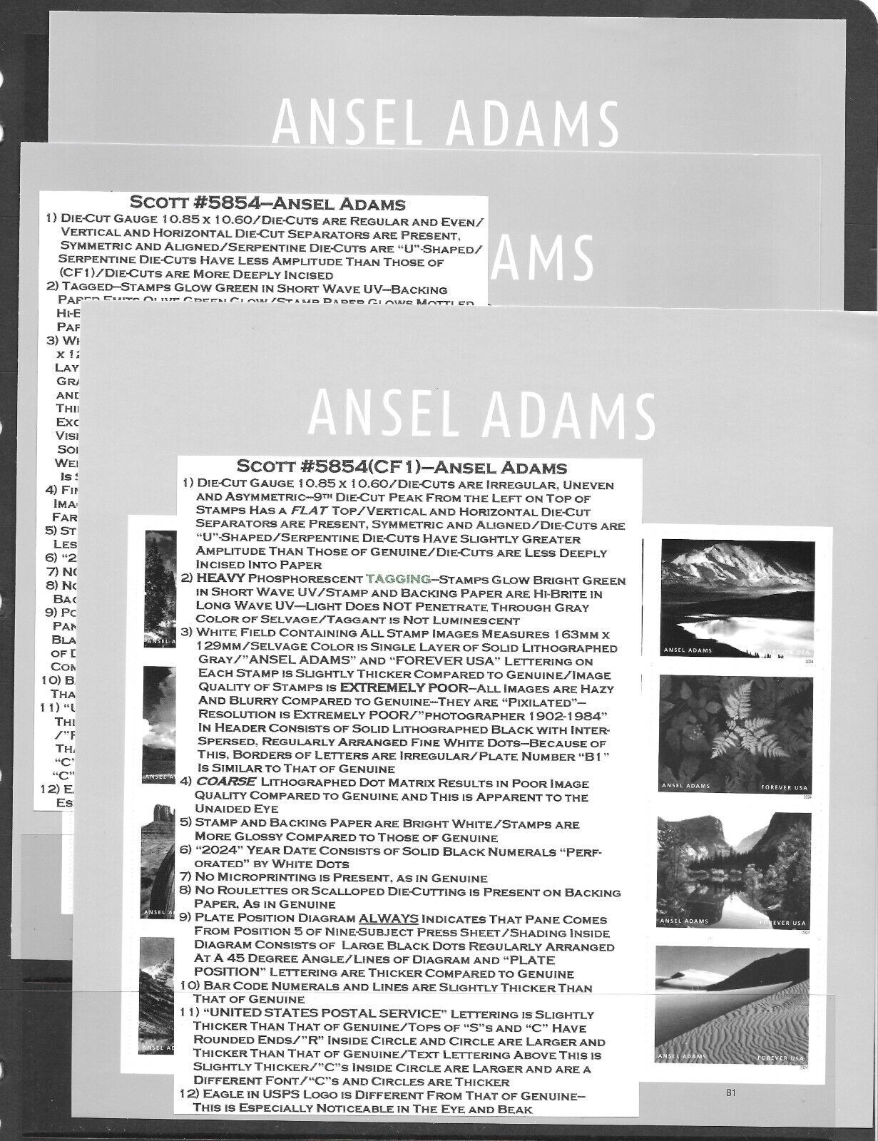 Scott #5854--Ansel Adams Pane-Genuine, No Die-Cut and CF w/ Descriptive ...