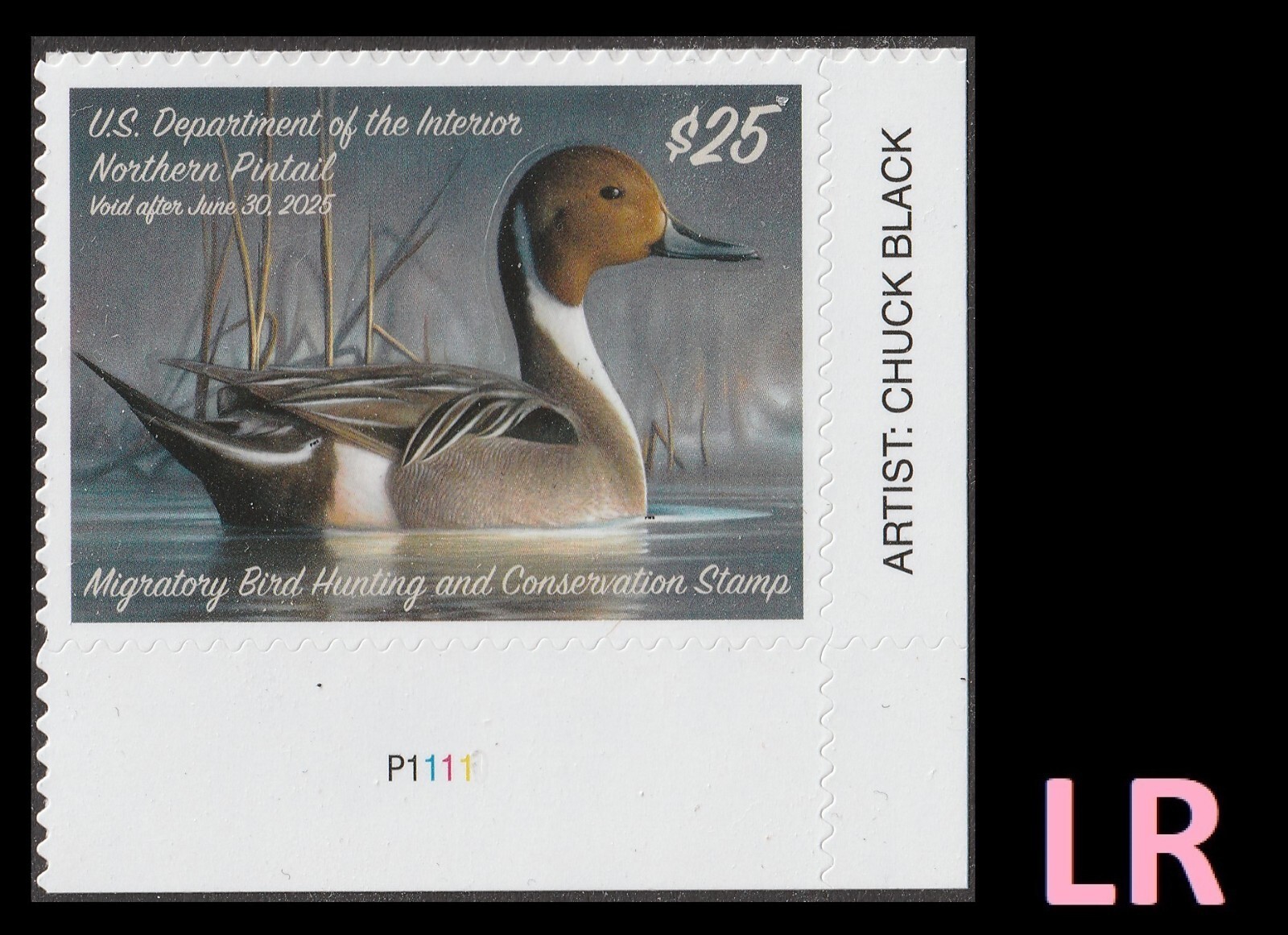 US RW91 Northern Pintail $25 plate single LR MNH 2024-2025 | United ...