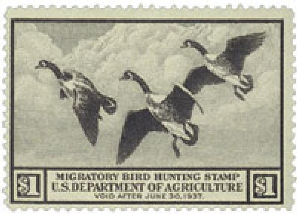 Federal Duck Stamps RW1 - RW5 M NH OG Nice, Fresh Stamps | United ...