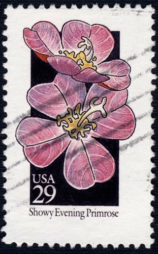 USA #2671 29c Used (Wildflowers Series: Showy Evening Primrose ...