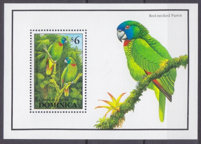 1993 Dominica 1672/B231 Birds - Parrot 8,00 € | Caribbean - Dominica ...