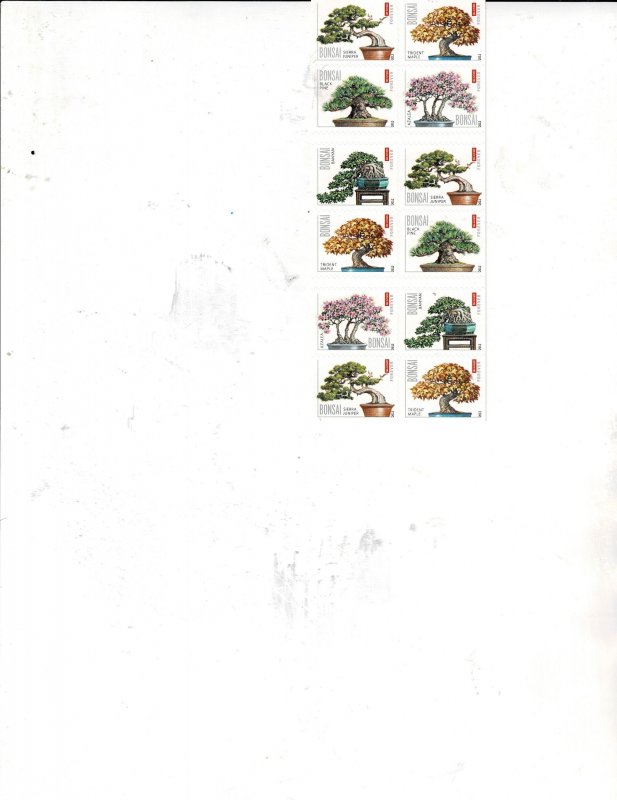 Bonsai Trees Forever US Postage Booklet #4618-22 VF MNH | United States ...