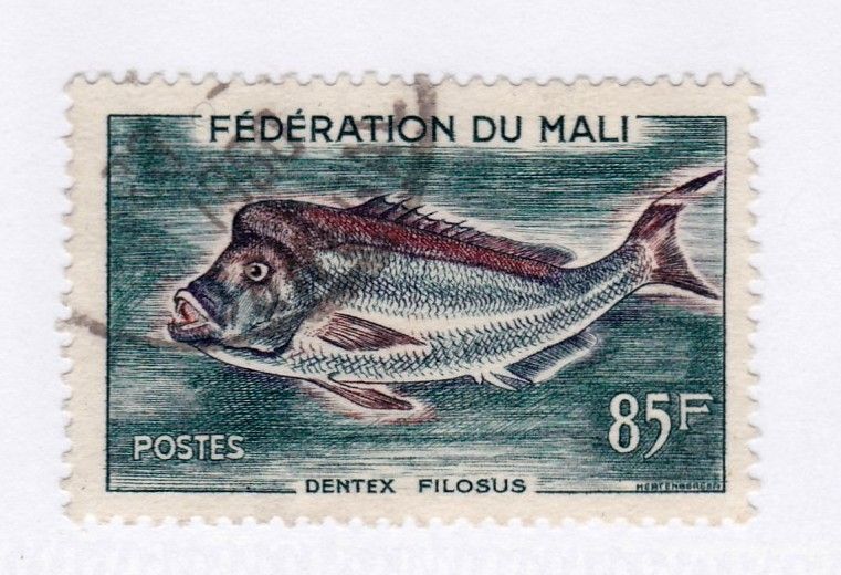 Mali 8 used | Africa - Mali, General Issue Stamp / HipStamp