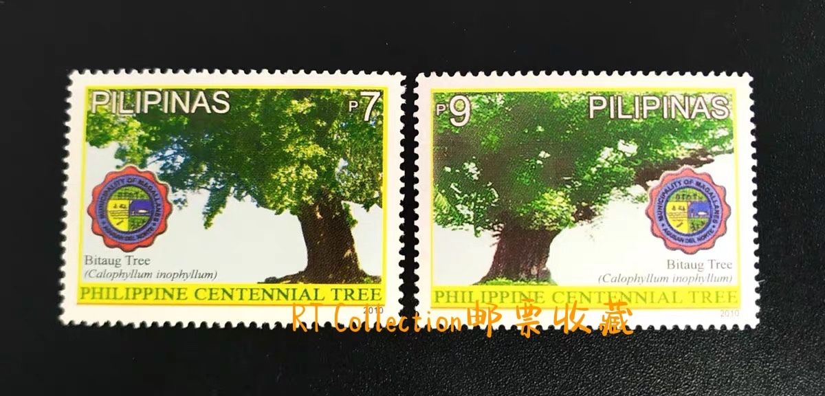 Philippines 2010 Set of Tourism Oldest Tree Trees Plants Plant Nature ...