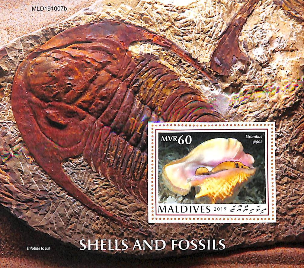 Maldives 2019, Shells and fossils s/s | Asia - Maldive Islands, Stamp ...