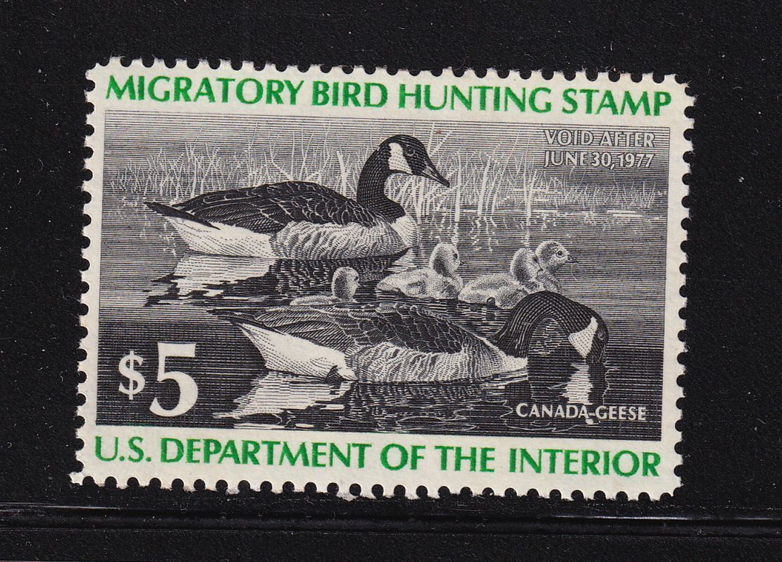 1976 Federal Duck Stamp Sc RW43 MHR single stamp (B1 | United States ...