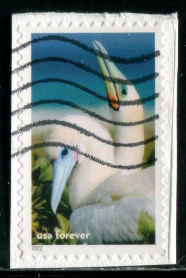 5713b US (60c) National Marine Sanctuaries - Red-footed Boobies SA ...
