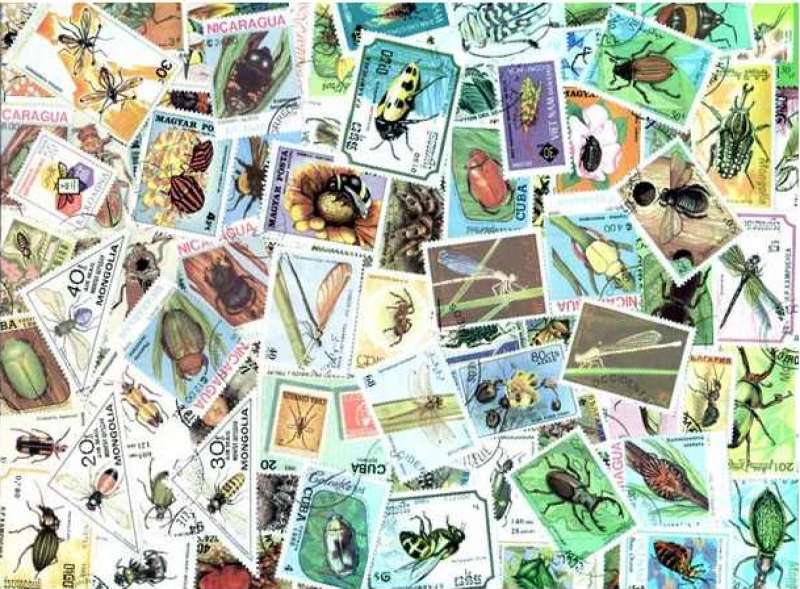 Insects on Stamps Collection - 100 Different Stamps | Worldwide - Other ...