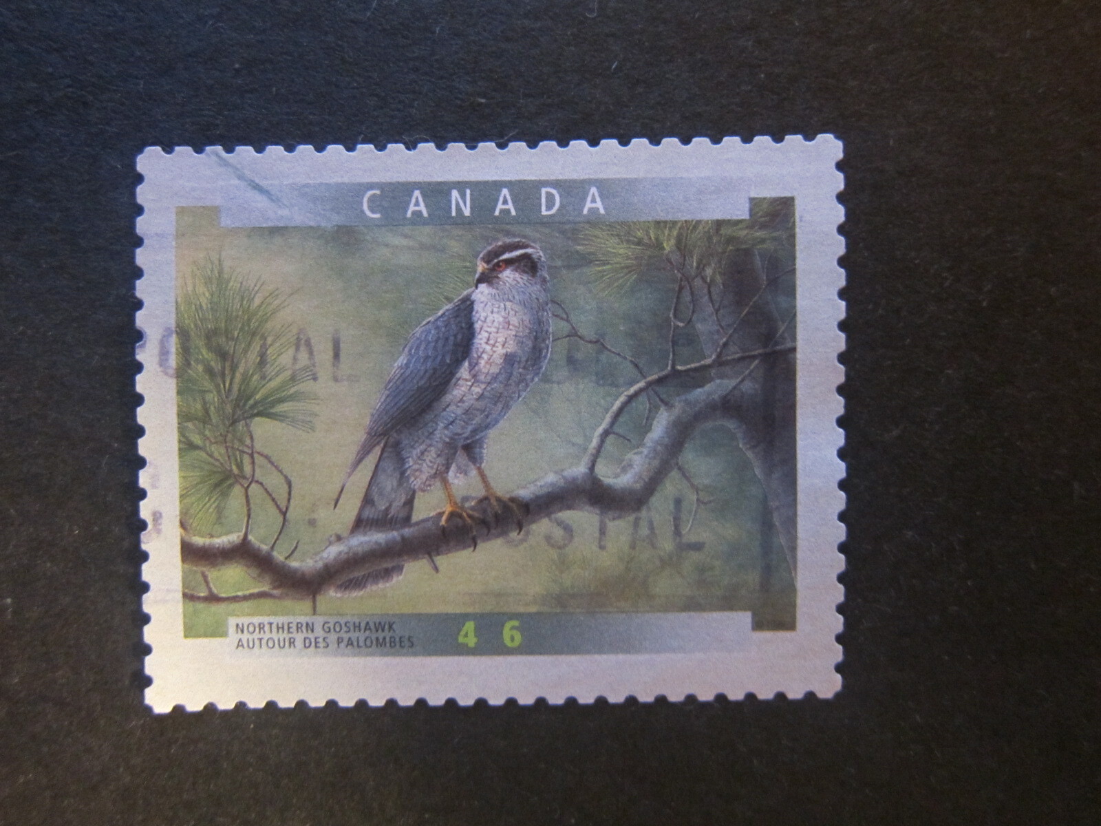 Canada #1774 Birds Of Canada Nice stamps {ca1610} | Canada, General ...