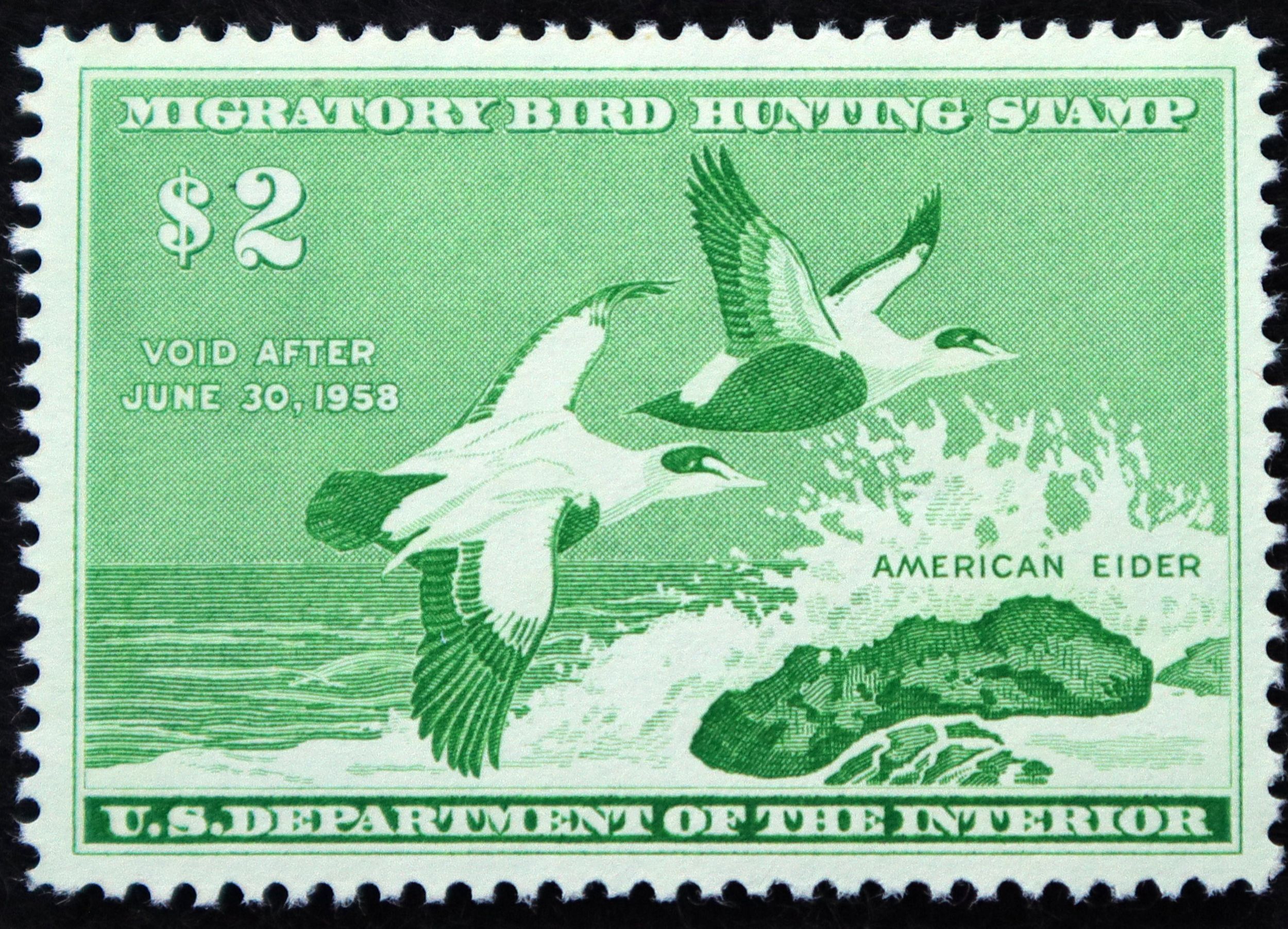 U.S. Mint Stamp Scott #RW24 $2 Duck Hunting Stamp. Never Hinged. Choice ...