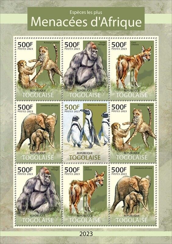 Togo - 2023 African Endangered Species, Gorilla, Wolf - 9 Stamp Sheet ...