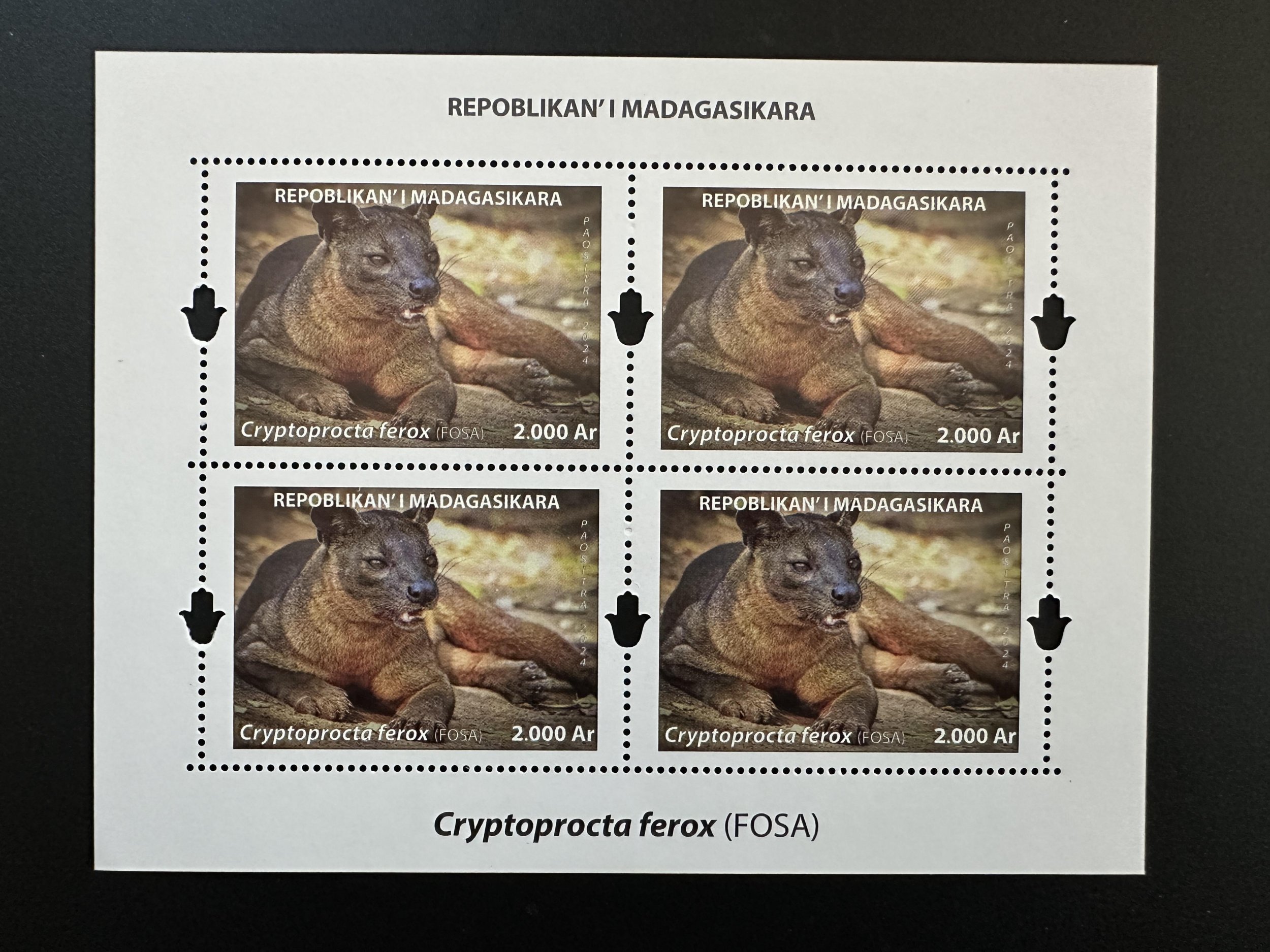 Madagascar 2024/2025 Mi. Bl.? S/S Cryptoprocta ferox Fosa Fossa feline ...