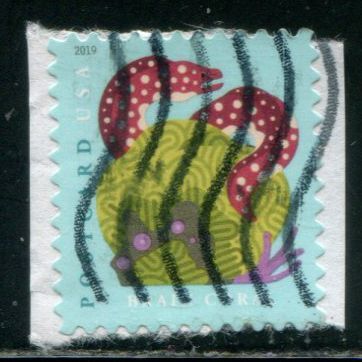5364 US (35c) Coral Reefs SA, used on paper | United States, General ...