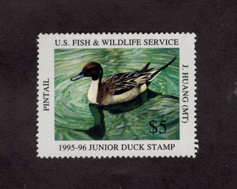 JDS3 Junior Duck Stamp. MNH. #02 JDS3b | United States, Stamp / HipStamp