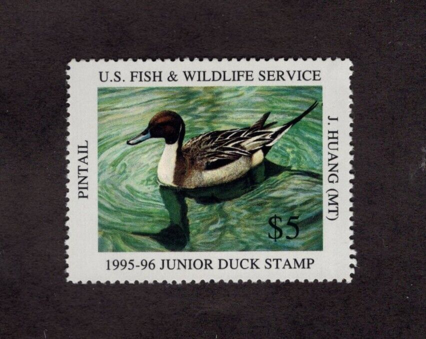 JDS3 Junior Duck Stamp. MNH. #02 JDS3b | United States, Stamp / HipStamp