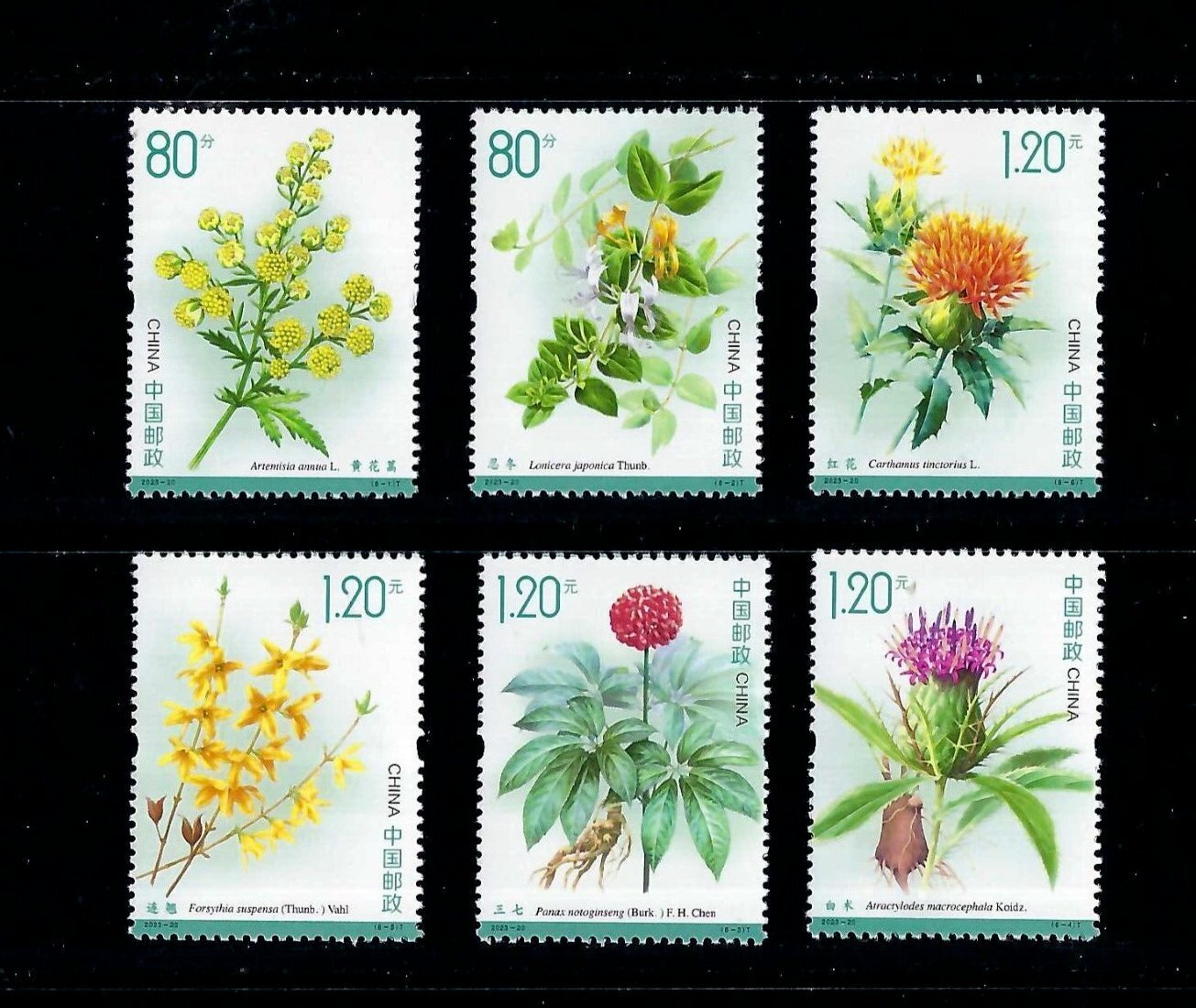 CHINA 2023-20 Medicinal Herbs (III) Plant Flower Stamp 6v MNH | Asia ...