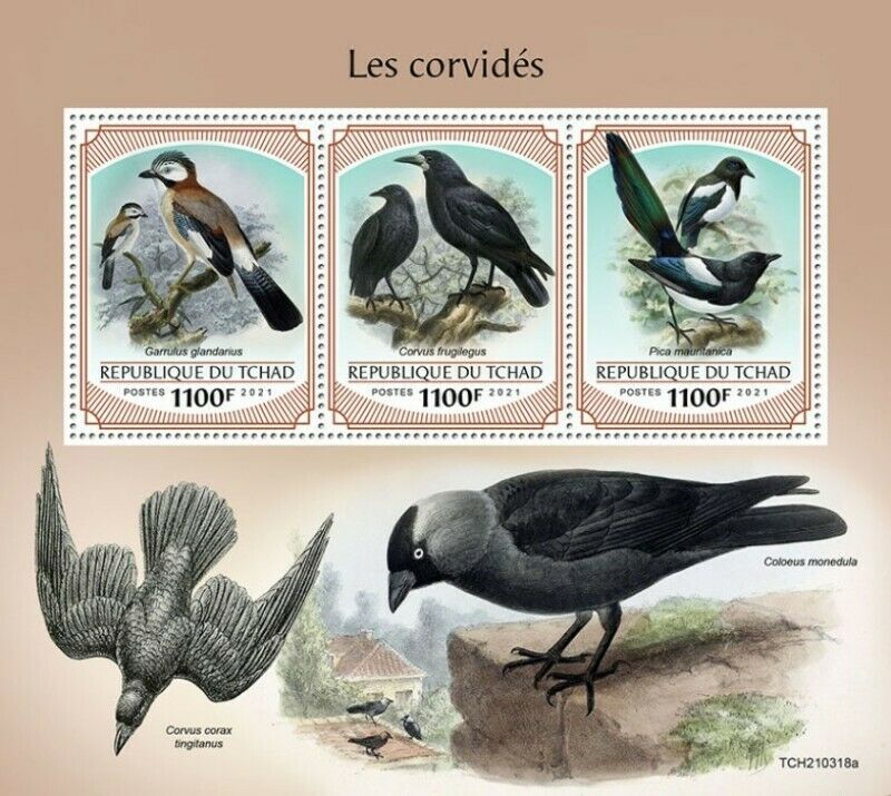Chad - 2021 Crows, Eurasian Jay, Rook, Magpie - 3 Stamp Sheet ...