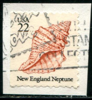 2119 22c Sea Shells bklt, used on paper | United States, General Issue ...