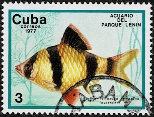 1977 Cuba Scott Catalog Number 2127 Used | Caribbean - Cuba, General ...
