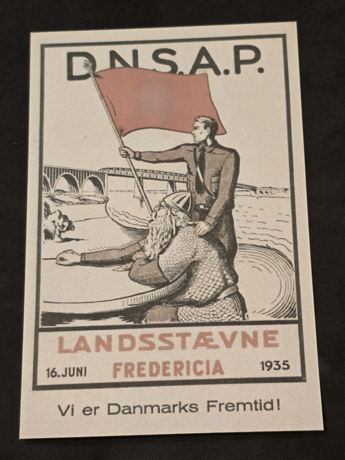 DNSAP DENMARK NSDAP PARTY GERMAN Third Reich Postcard WW2 WWII | Europe ...