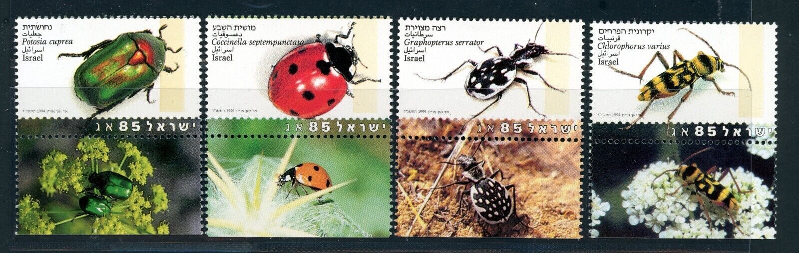 Israel Scott# 1189-1192 Beetles MNH With TAB | Middle East - Israel ...