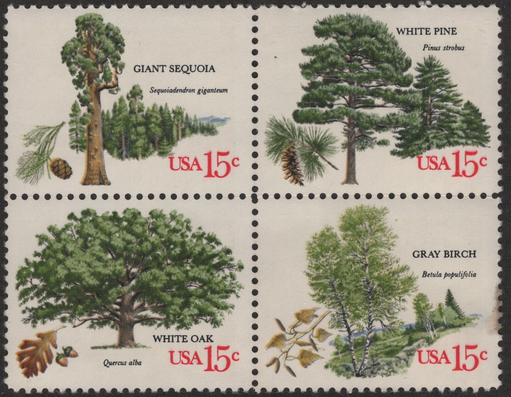 SC#1764-67 15¢ American Trees Block of Four (1978) MNH | United States ...