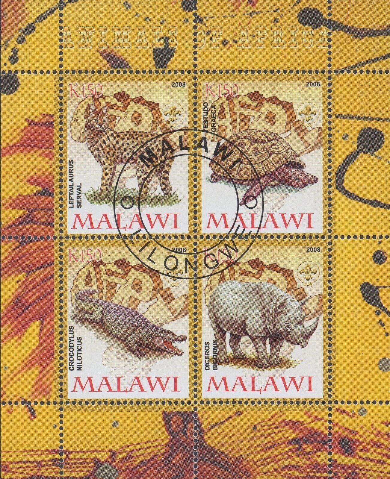 Malawi Wild Animals Serval Tortoise Crocodile Rhino | Africa - Malawi ...