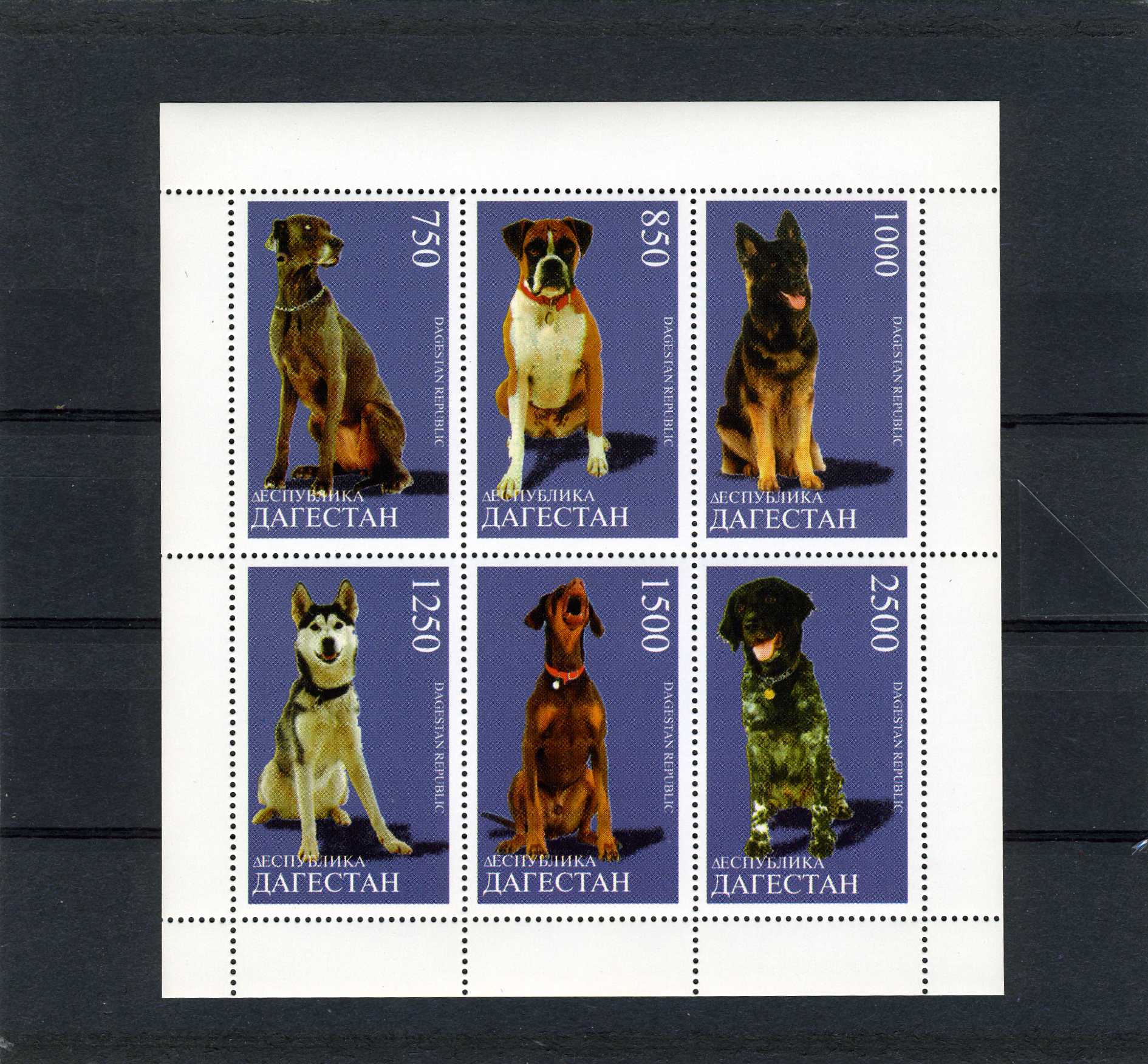 Dagestan 1997 (Russia Local Stamp) Dogs Sheet Perforated mnh.vf ...