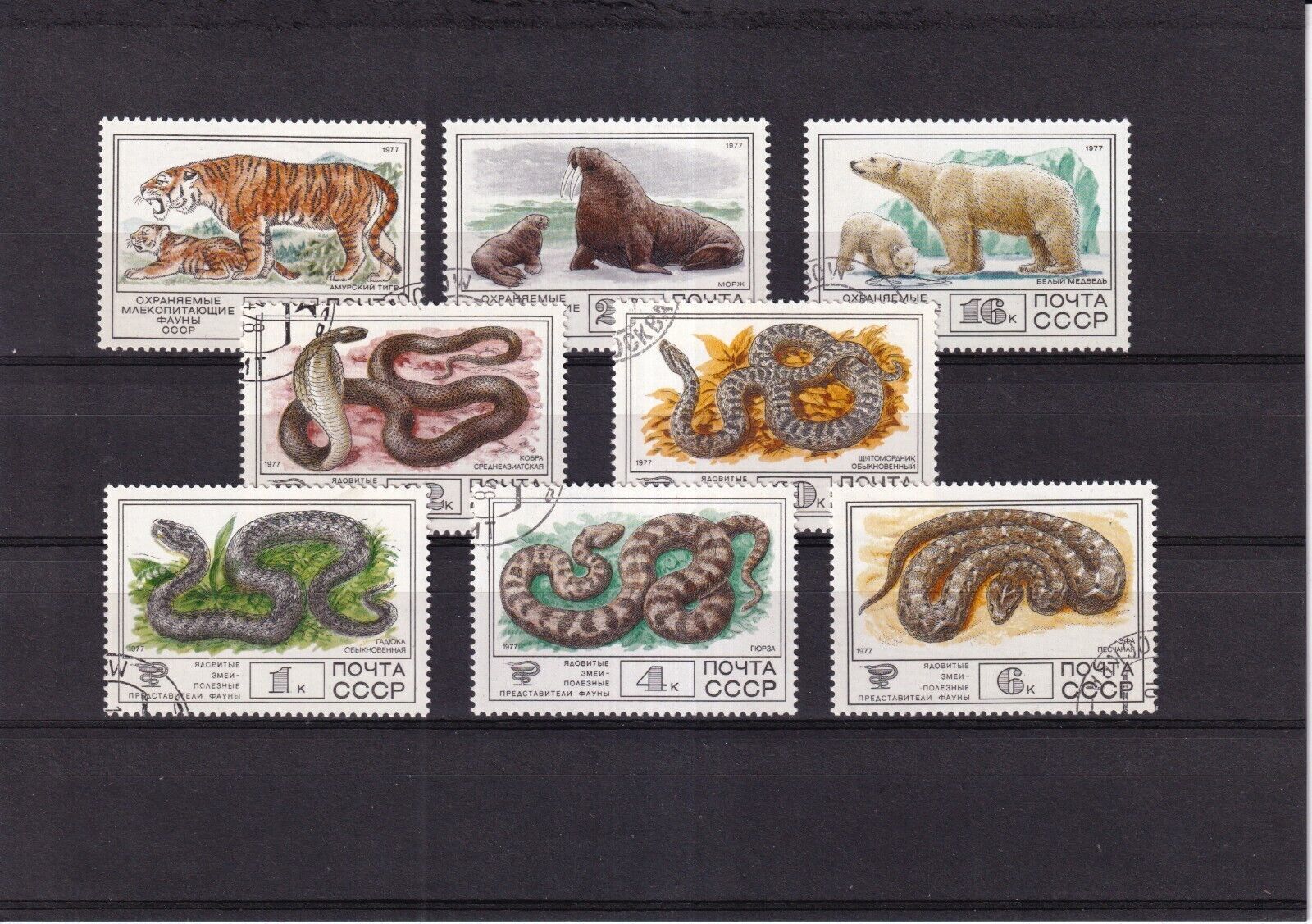 SA32e Russia USSR 1977 Snakes and Wild Animals used stamps | Europe ...