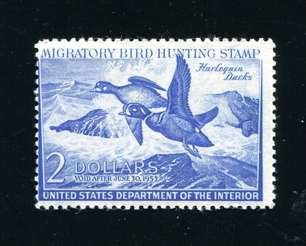 RW19 Harlequin Ducks Federal Duck Stamp MNH 1952 | United States, Duck ...