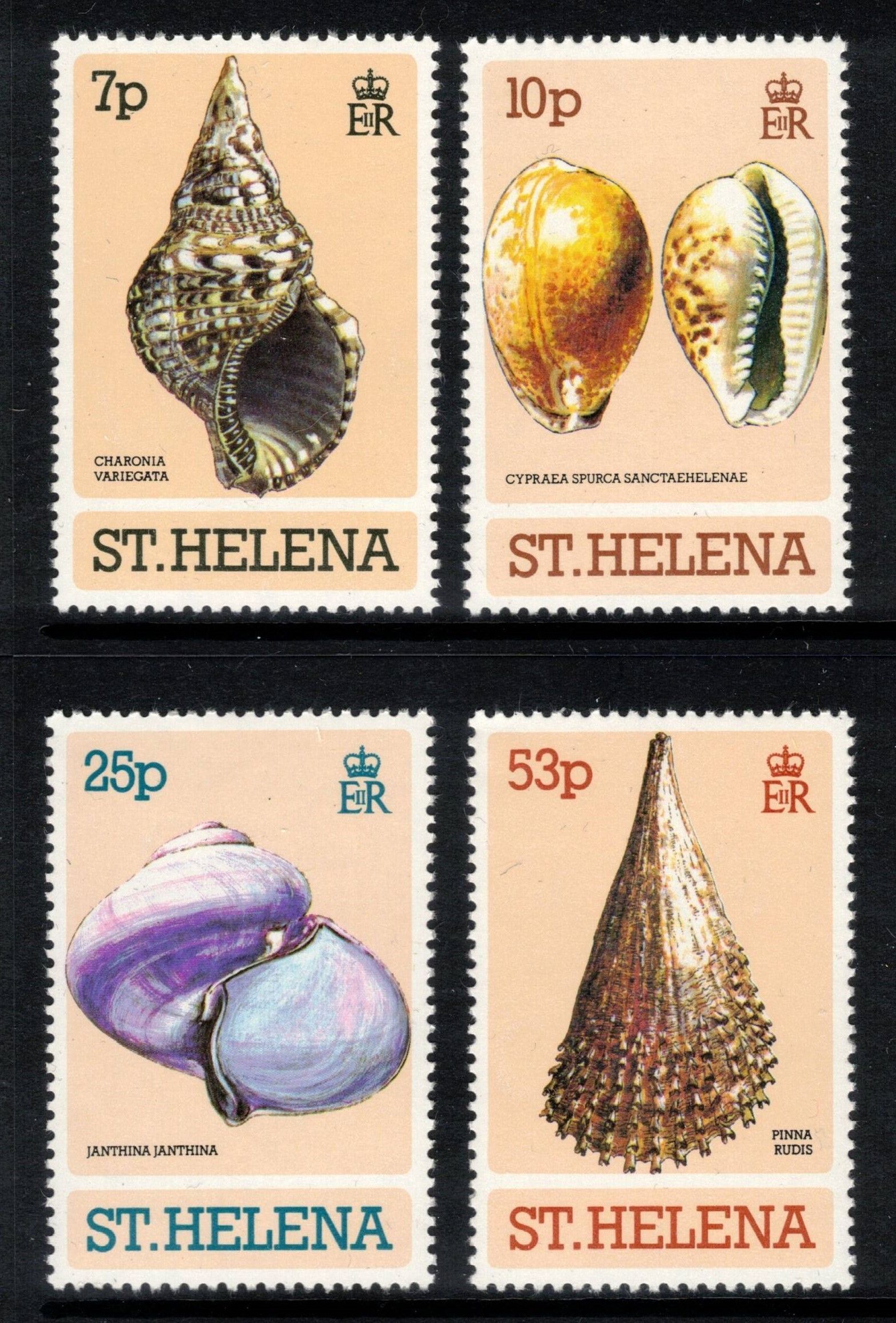 ST HELENA 1981 Sea Shells; Scott 356-59, SG 381-84; MNH | Worldwide ...