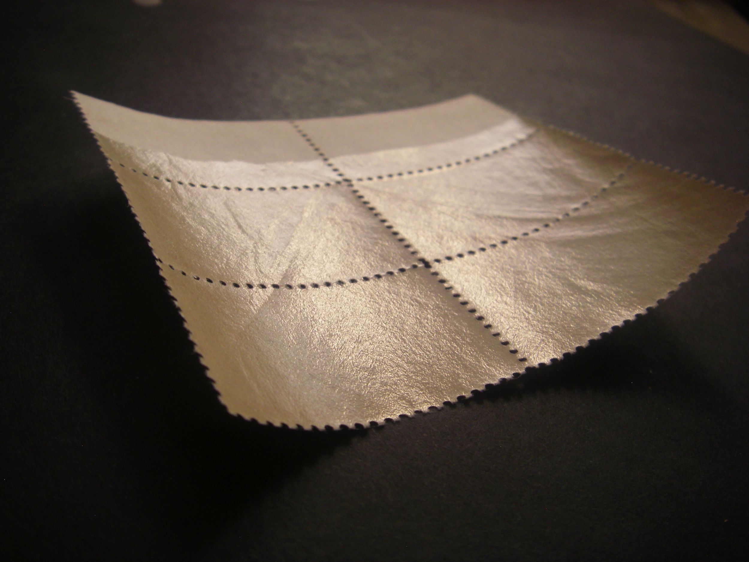 Scott CE2, 16c Airmail Special Delivery, PB4 #F21495, F21492 TM, Type 1 ...