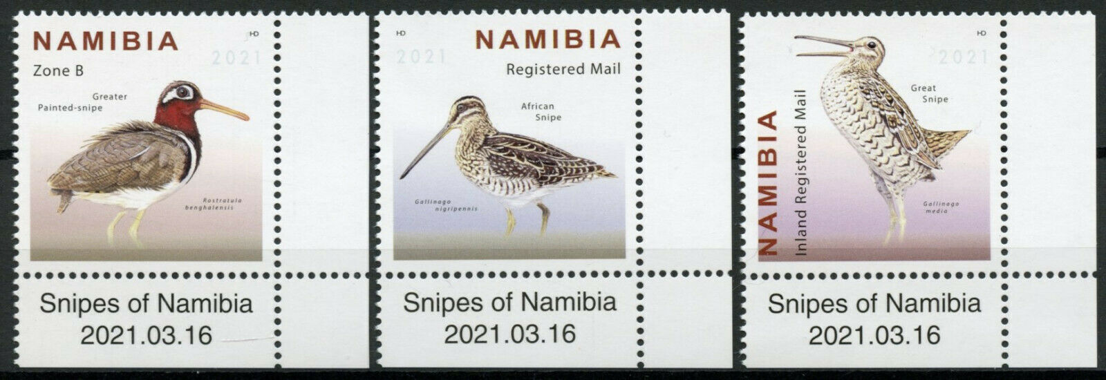 Namibia Birds on Stamps 2021 MNH Snipes Great African Snipe 3v Set ...