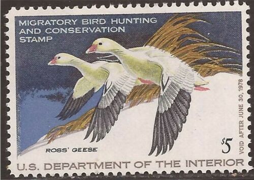 US Stamp - 1977 Ross’s Geese Stamp Signed Scott #RW44 | United States ...