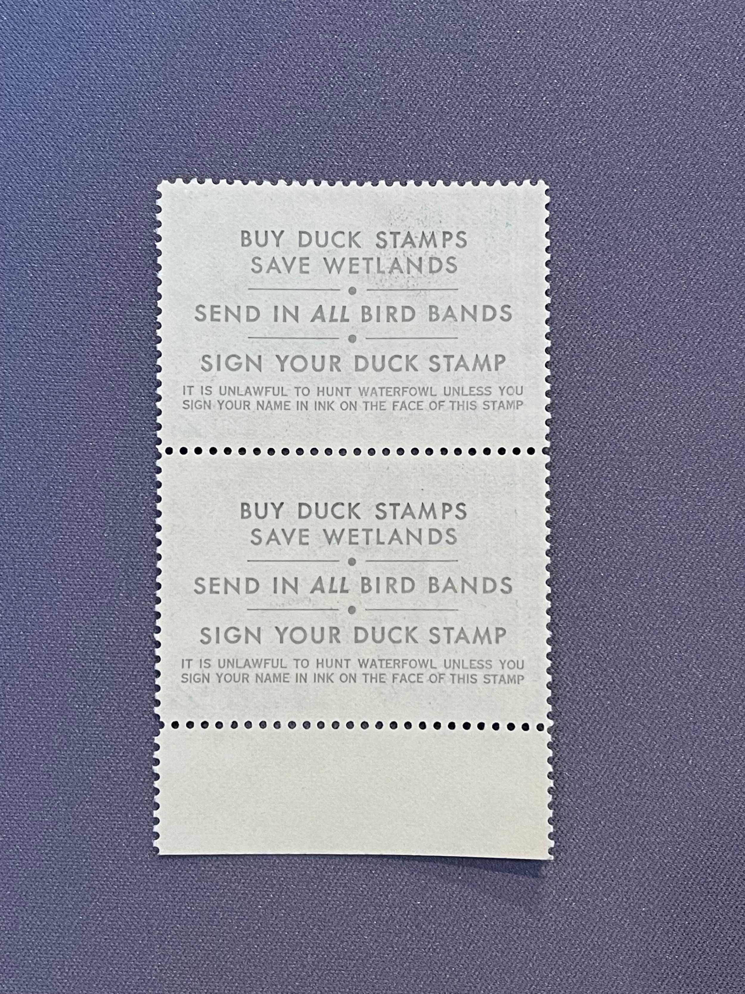 RW47, Mallards, Mint OGNH, pair with selvage, CV $80.00 | United States ...