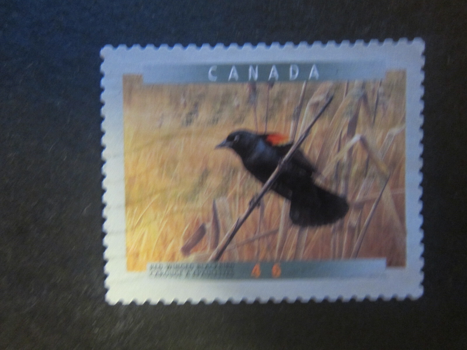 Canada #1775 Birds Of Canada Nice stamps {ca1611} | Canada, General ...