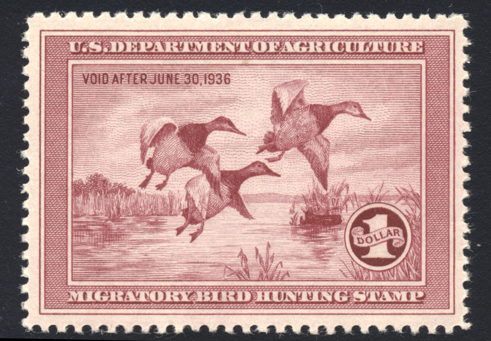 US RW2 $1 Hunting Permit Stamp 1935 Canvasbacks Taking to Flight PSAG ...