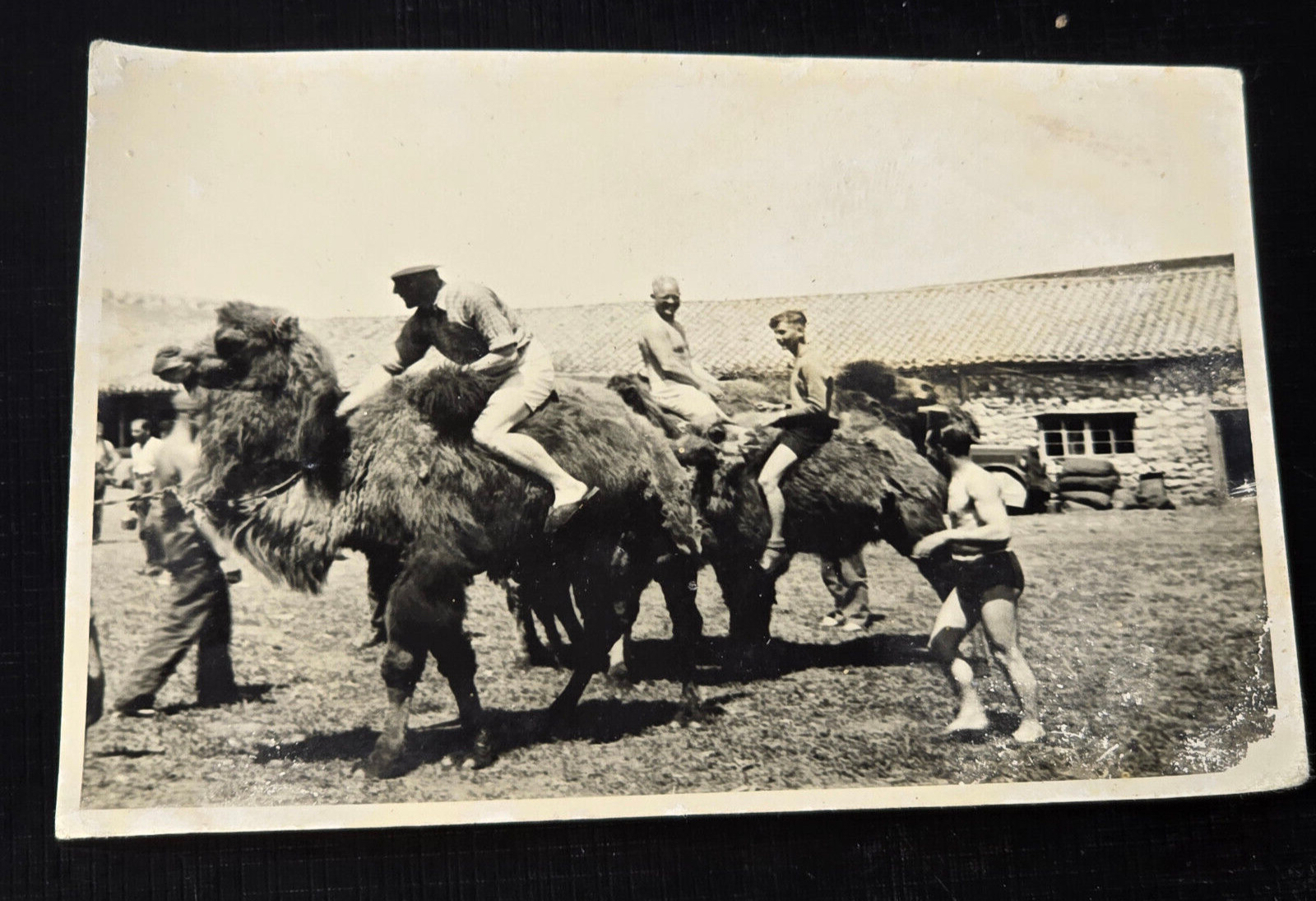 CAMEL JOCKEY WEHRMACHT DJ JUGEND SOLDIERS WW2 WWII German Wartime ...