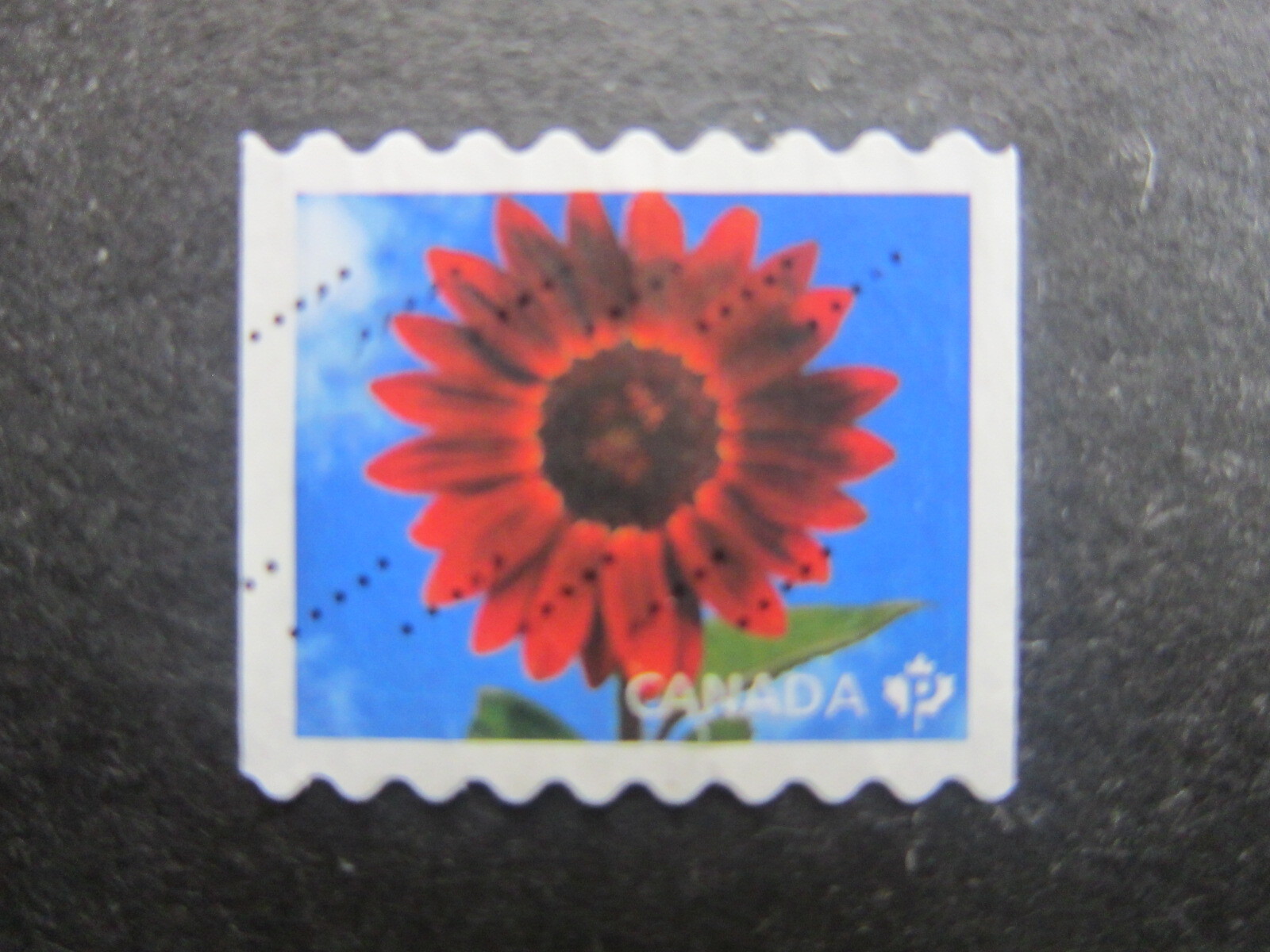 Canada #2441 Sunflowers Canada nice stamps {ca1989} | Canada, General ...