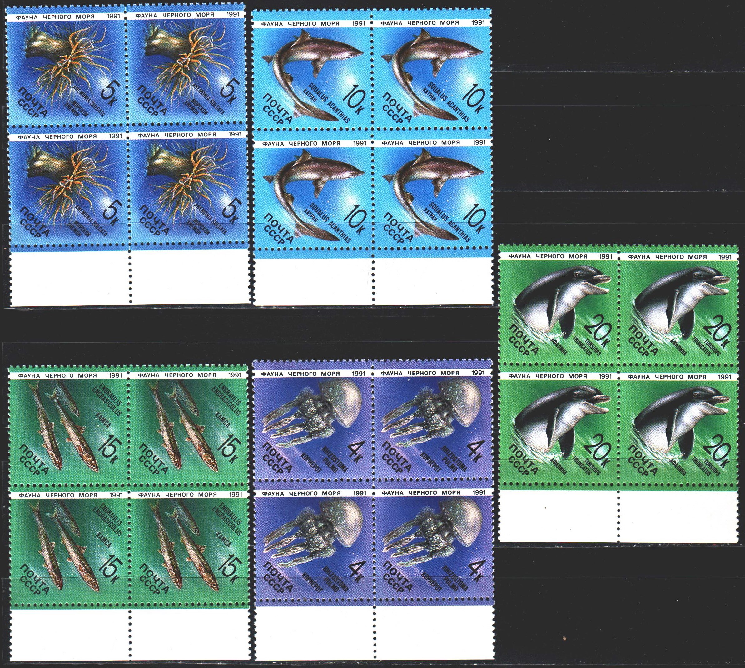Soviet Union. 1991. Quart 6214-18. Fauna of the Black Sea, fish. MNH ...