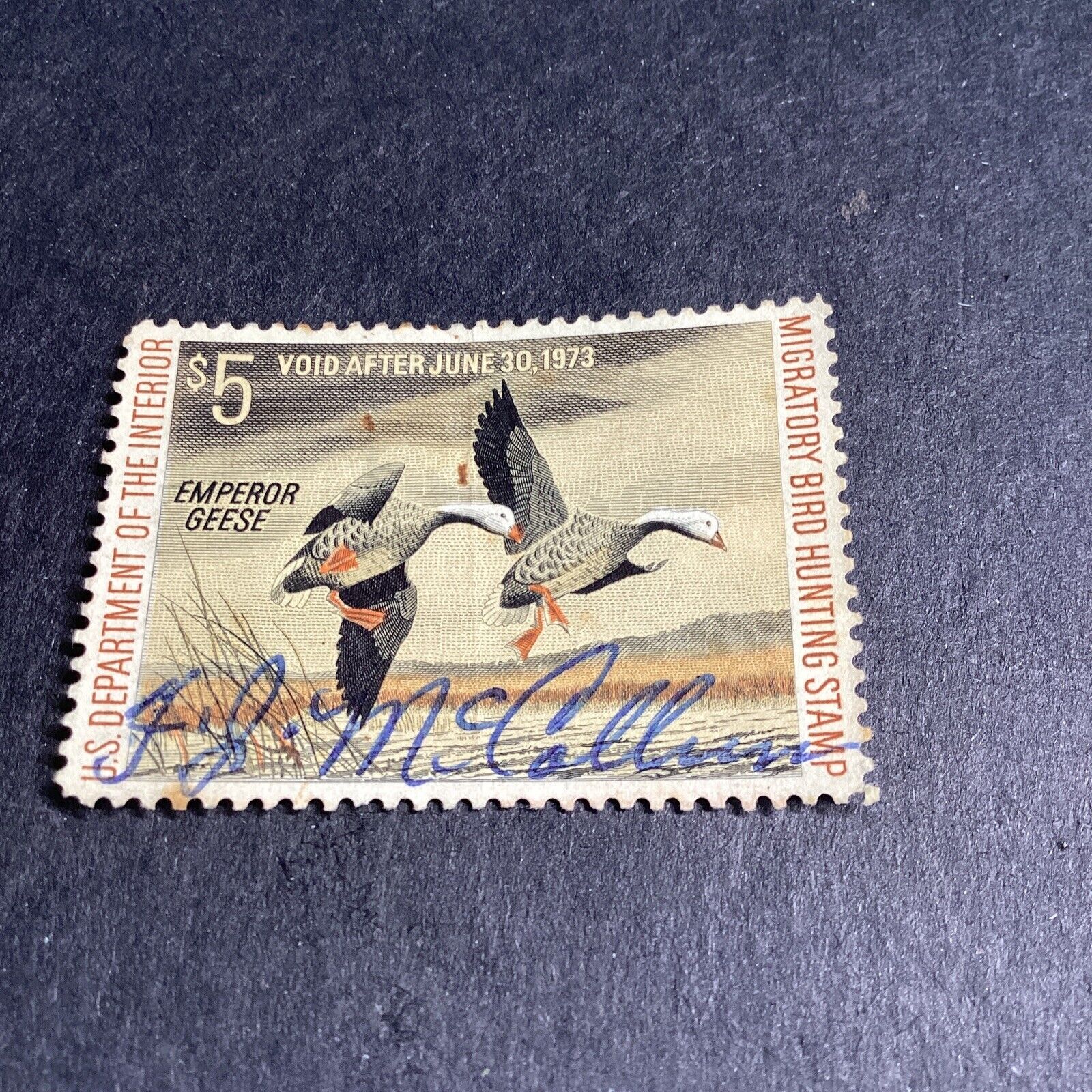 Scott#Rw39 1972 $5 Emperor Geese Duck Stamp Used-N/G-Us | United States ...