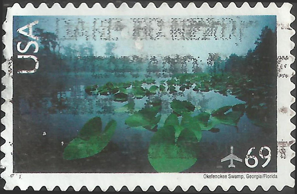 # C142 Used Okefenokee Swamp | United States, Air Mail Stamp / HipStamp