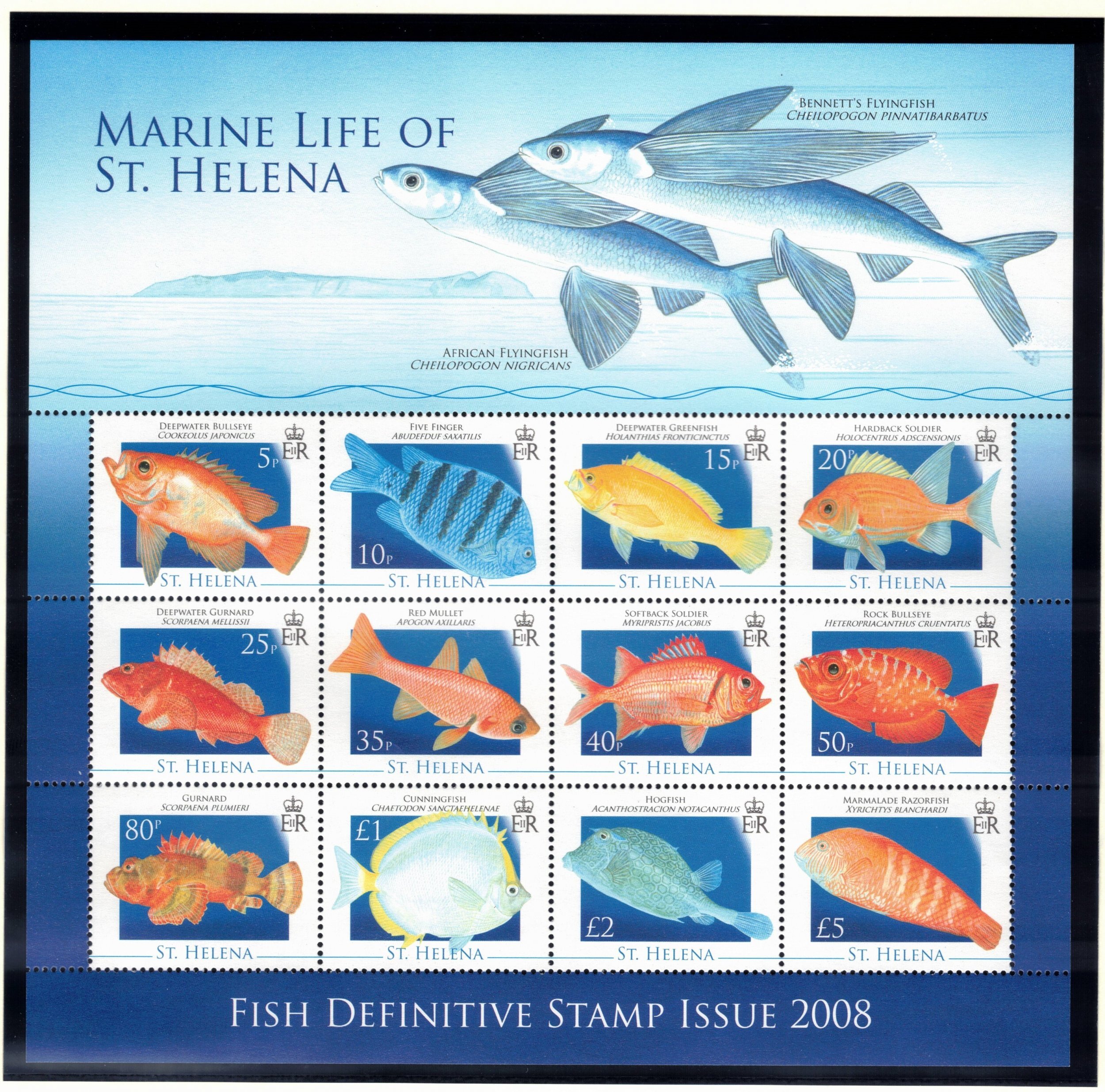 ST HELENA 2008 Fish S/S; Scott 963a, SG 1070; MNH | Worldwide - South ...